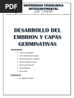 Capas Germinales | PDF | Embrión | Procesos biologicos