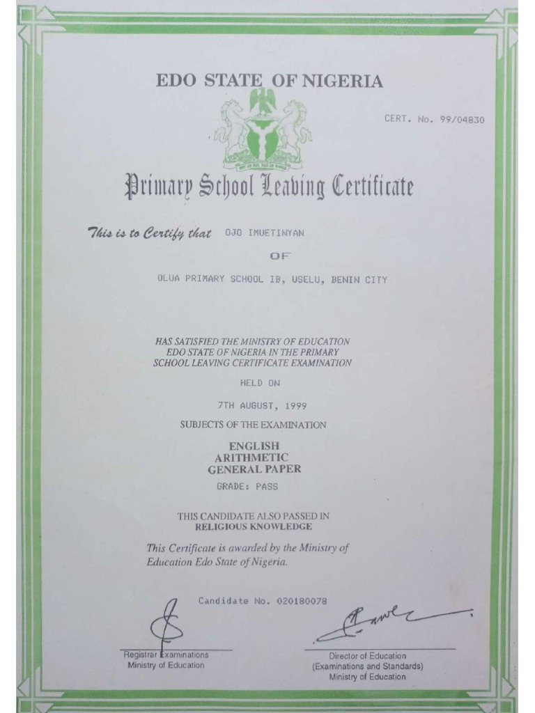 Primary 6 Cert | PDF