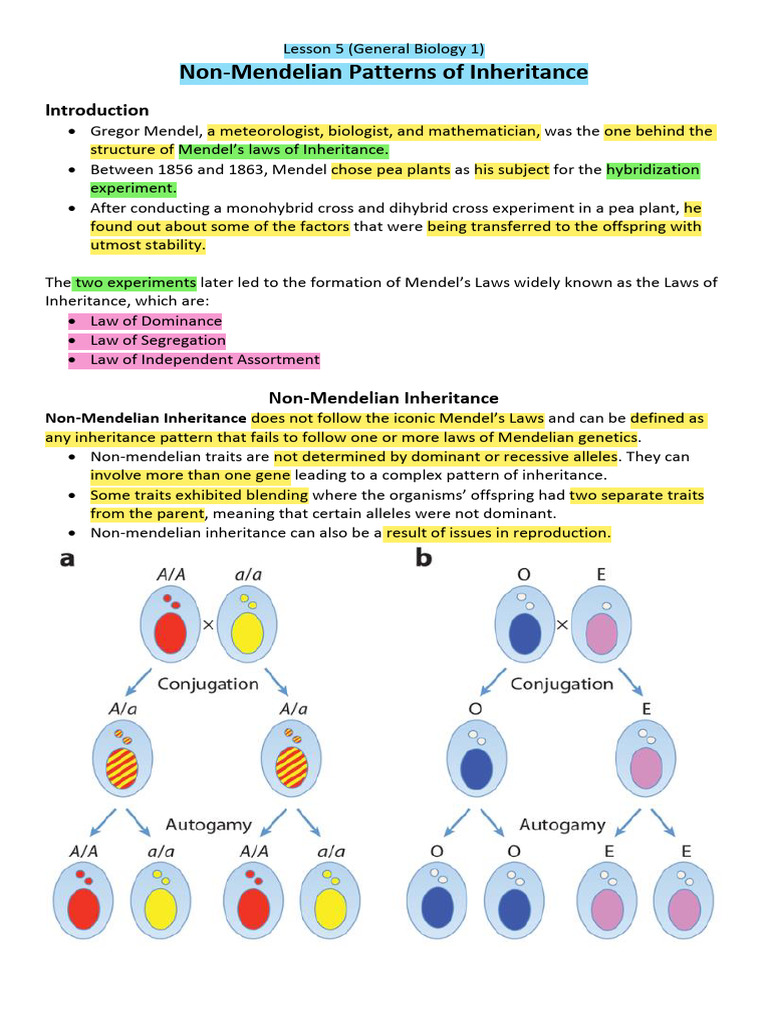 Non-Mendelian Inheritance Explained | PDF | Dominance (Genetics ...