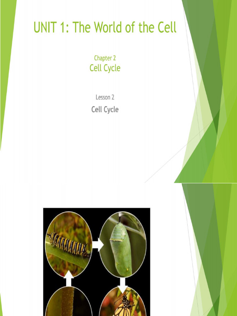 General Biology Notes 2 | PDF