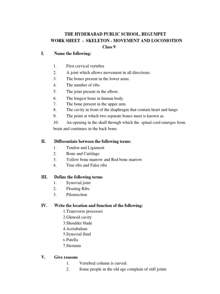 Class 9 Ws Human Skeleton | PDF | Skeleton | Vertebra