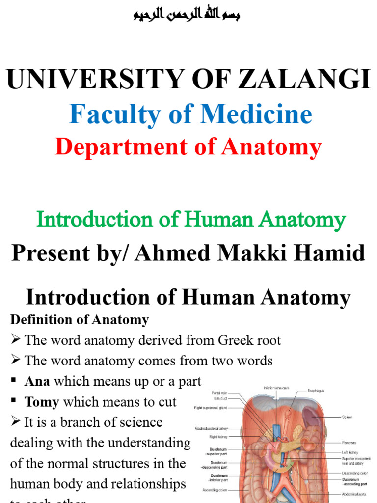 Introduction to Human Anatomy | PDF | Anatomy | Medical Imaging