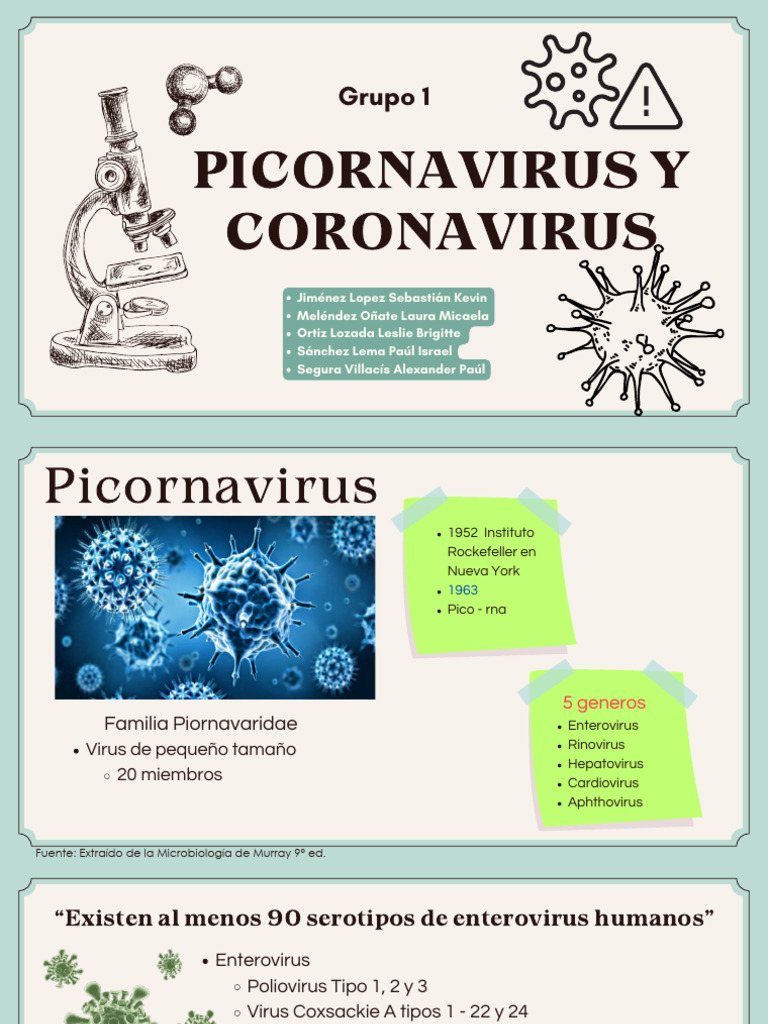 Picornavirus y Coronavirus | PDF | Resfriado comun | Virus