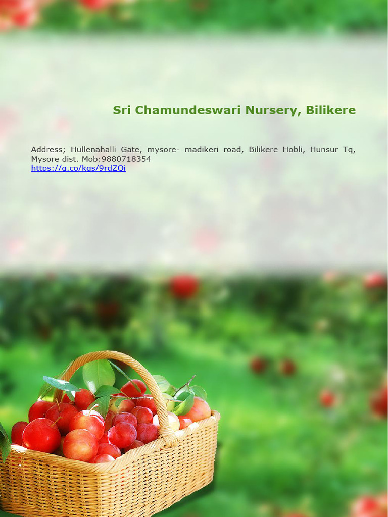 Sri Chamundeswari Nursery-Plants Brochure - 2024-25 | PDF | Fruit ...