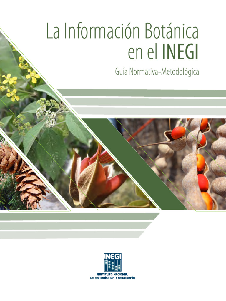 Guia Inegi Botanica | PDF | Botánica | Papel