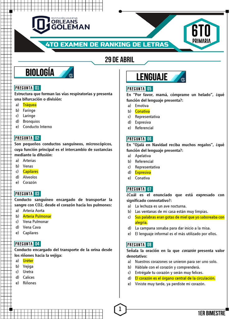 6to Primaria - 4to Examen Letras - 29 de Abril - Claves | PDF | Pulmón ...