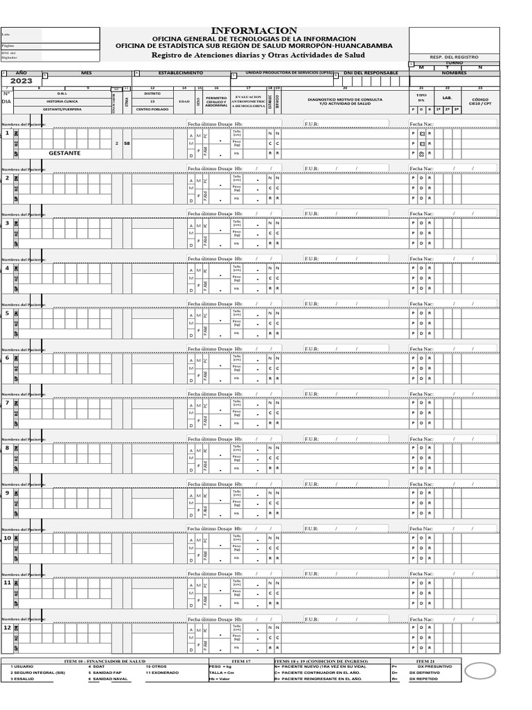 Formato His en Blanco | PDF | Cuidado de la salud | Medicina