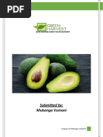 Avocado Grafting Presentation | PDF | Grafting | Agriculture