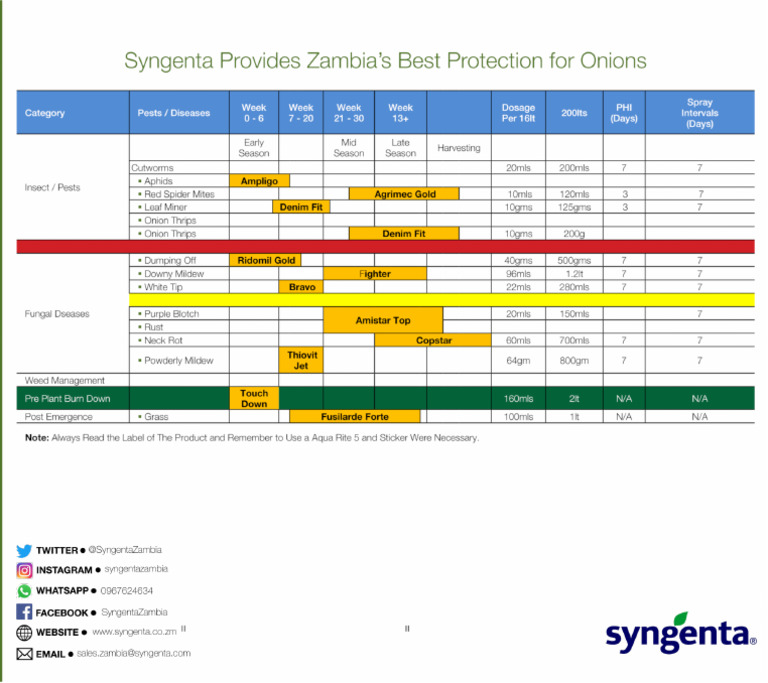 Onion Spray Program | PDF