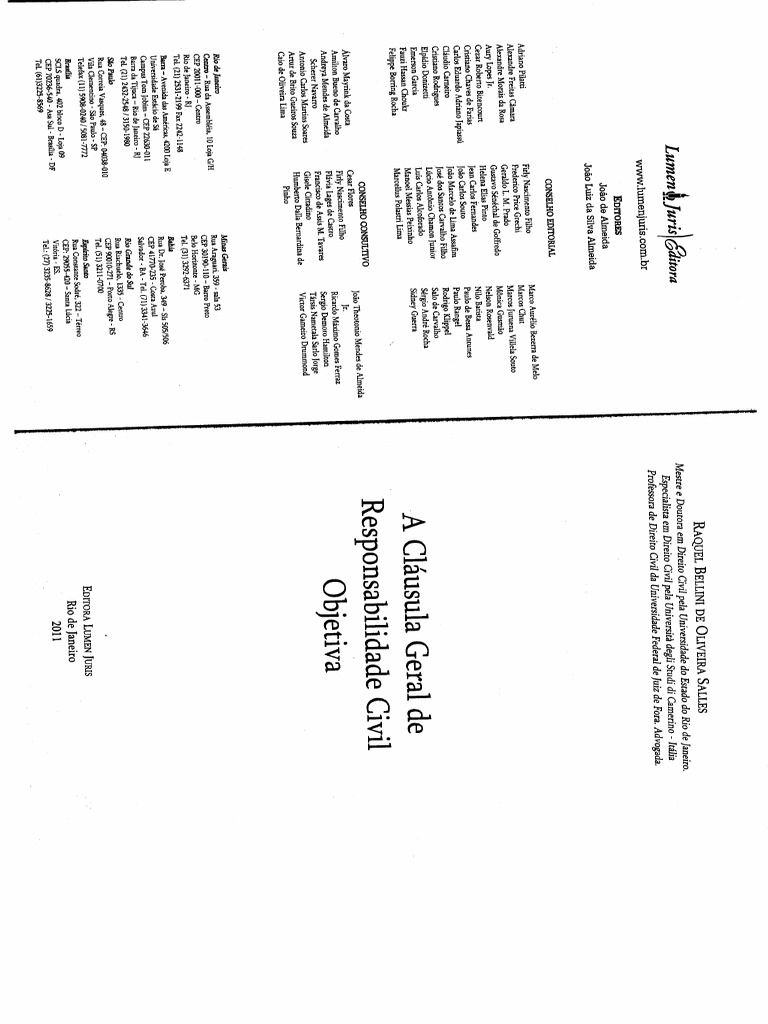 A Cláusula Geral de Responsabilidade Civil Objetiva - Cap. II - Raquel Bellini Salles | PDF