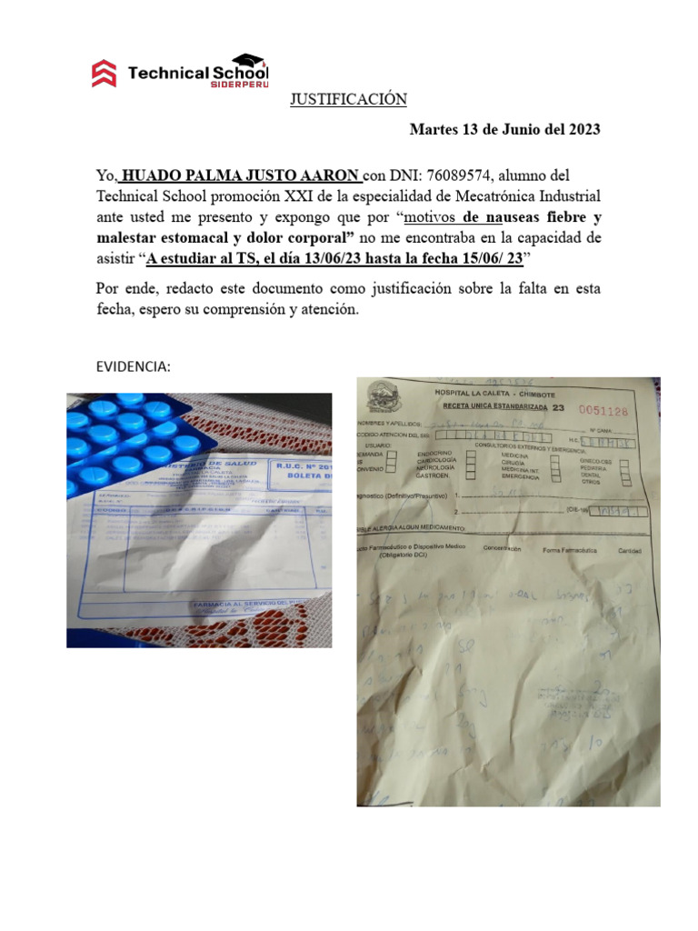 Modelo de justificacion | PDF