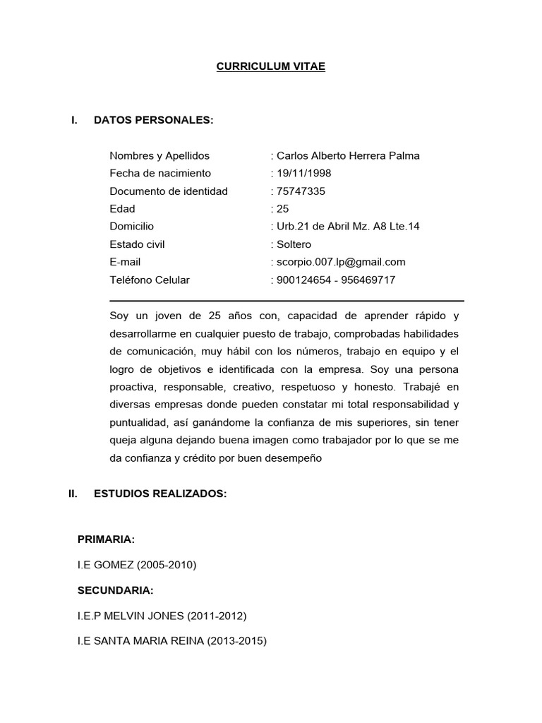 CURRICULUM VITA1 Modelo | Descargar gratis PDF | Informática | Tecnologías de la información