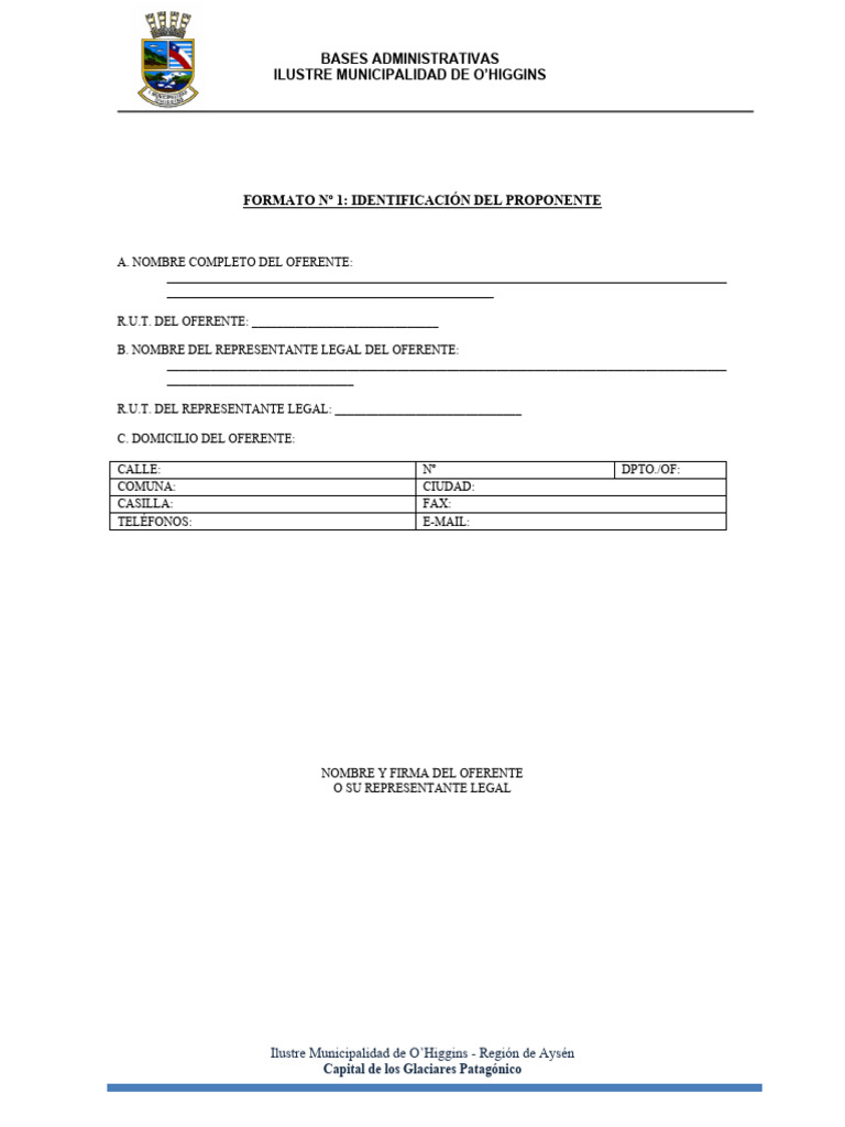 Formato N° 1 - IDENTIFICACIÓN DEL PROPONENTE | PDF