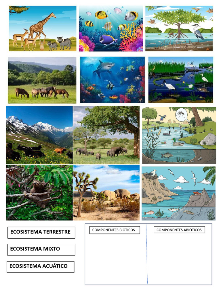 Ecosistemas | PDF
