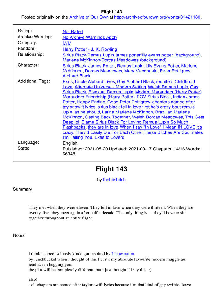Flight 143 | PDF
