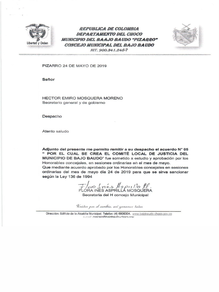 Bajo Baudó - Acto Administrativo - SLJ (2) | PDF