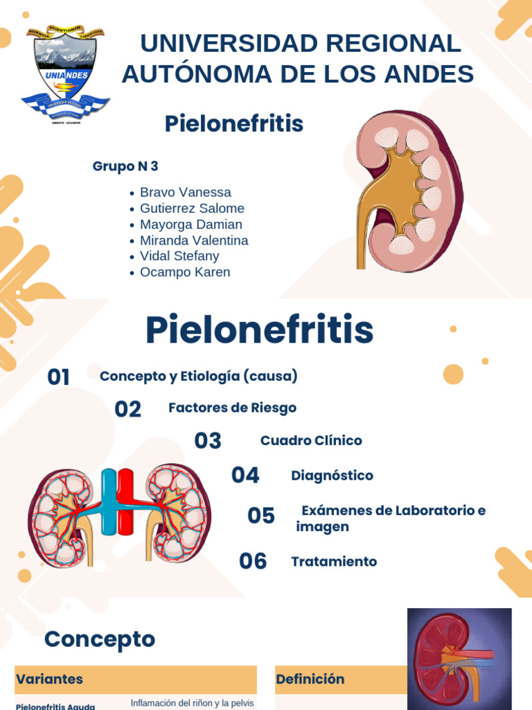 Pielonefritis Grupo 3 | PDF | Enfermedades y trastornos | Epidemiología