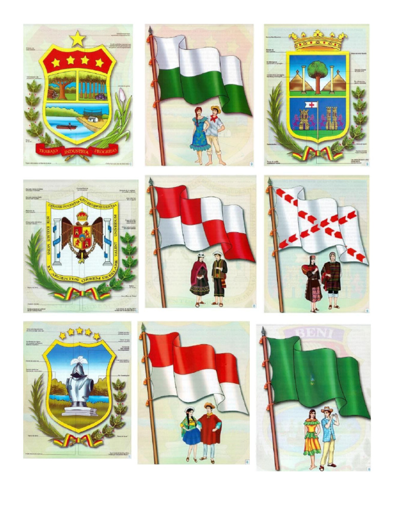 escudos y banderas de los 9 departamentos | PDF