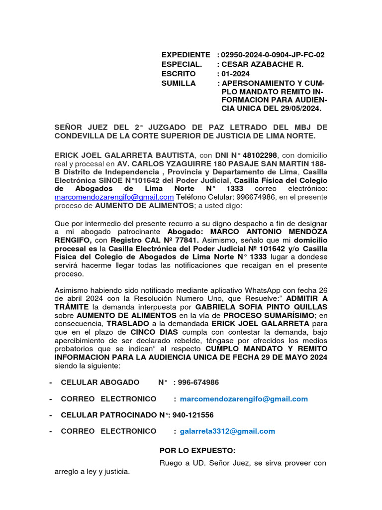 Apersonamiento SR Erick | PDF | Demanda judicial | Gobierno