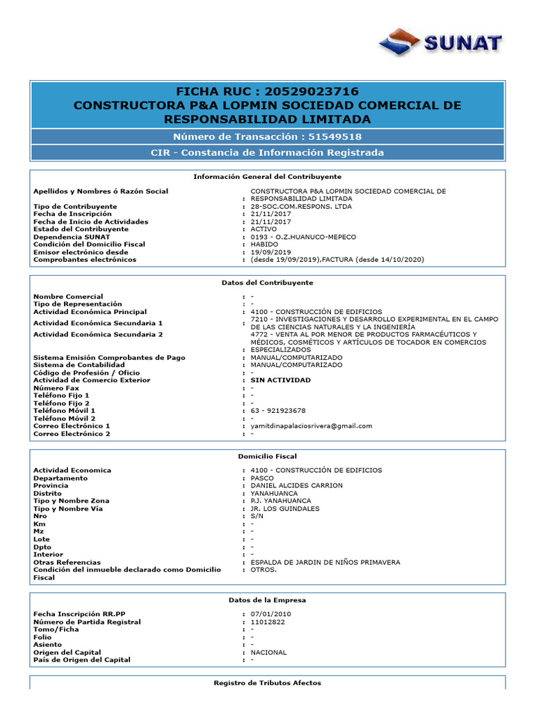 FICHA RUC (1) | Descargar gratis PDF | Industrias de servicio
