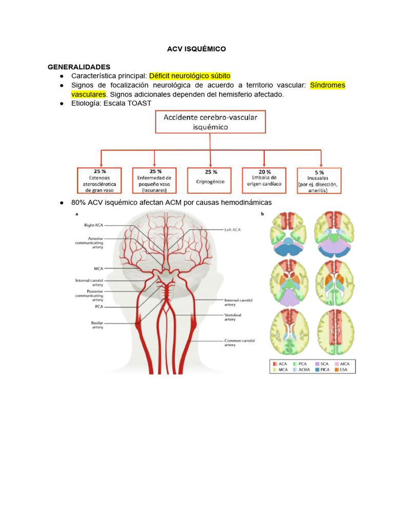 Acv Isquémico | PDF | Carrera | Isquemia