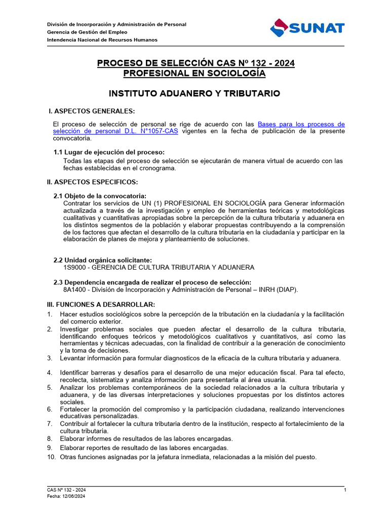 Proceso de Selección Cas #132 - 2024 Profesional en Sociología ...