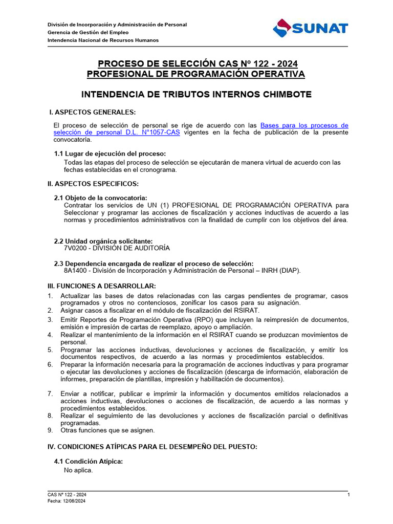 Convocatoria CAS 122-2024: Programador Operativo | PDF | Gestión de ...