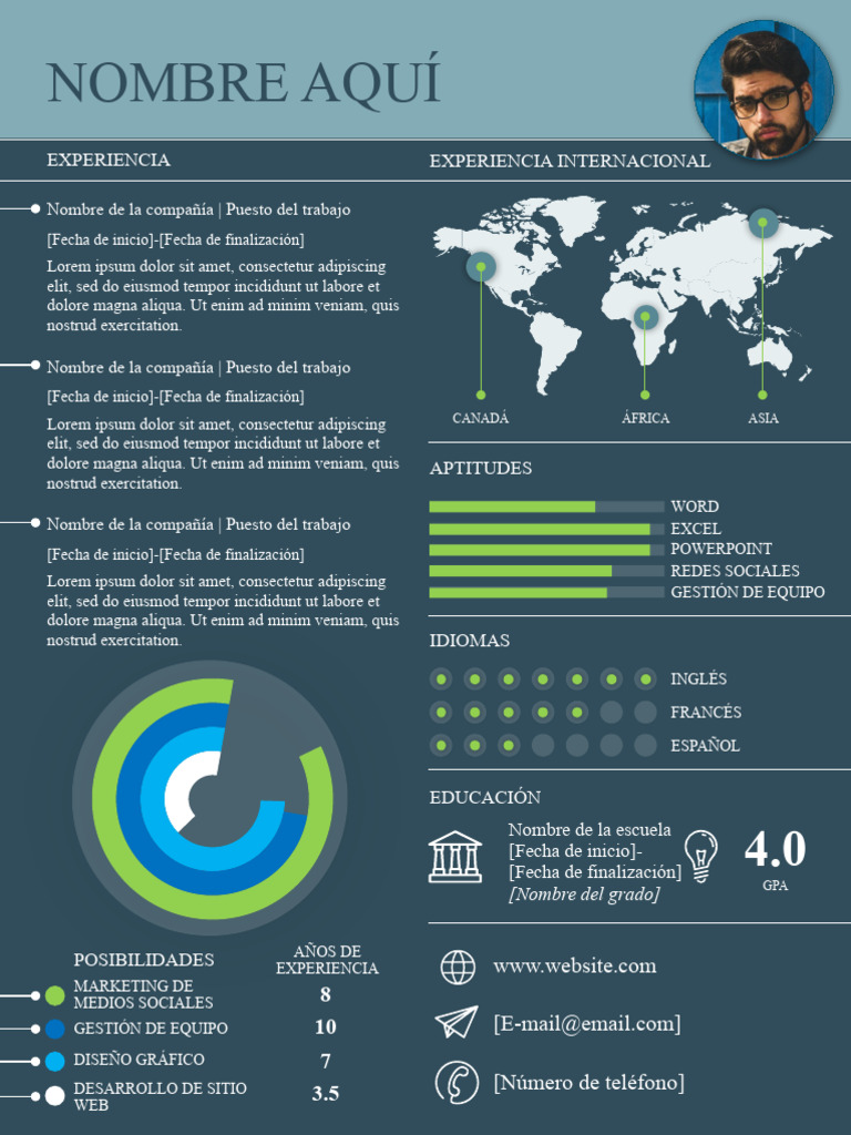 Currículum Infográfico Internacional | PDF