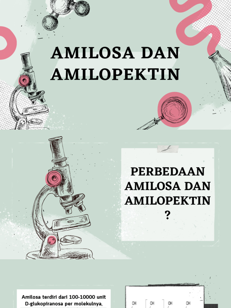 Perbedaan Amilosa dan Amilopektin | PDF | Sains & Matematika