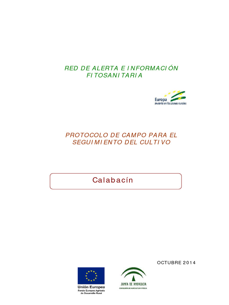 Calabacín | PDF | Crisálida