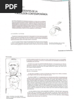 Flevomax 500mg Prospecto | PDF | Amamantamiento | El embarazo