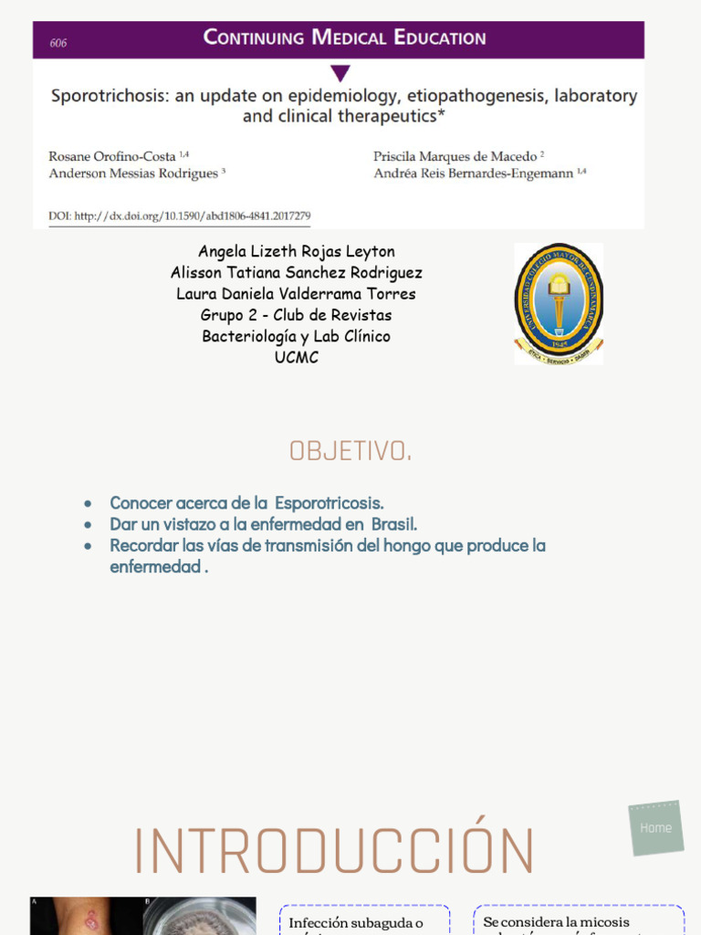 Sporotrichosis - An Update On Epidemiology, Etiopathogenesis, Laboratory and Clinical ...