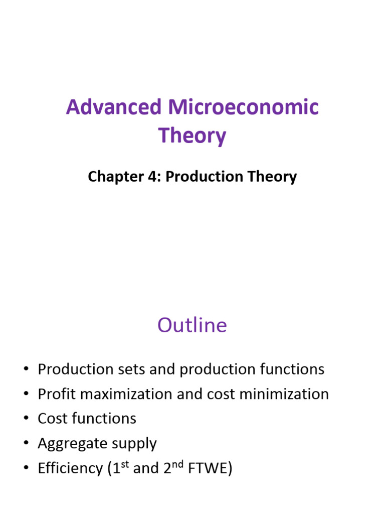 Microeconomic Production Theory | PDF | Production Function | Economics