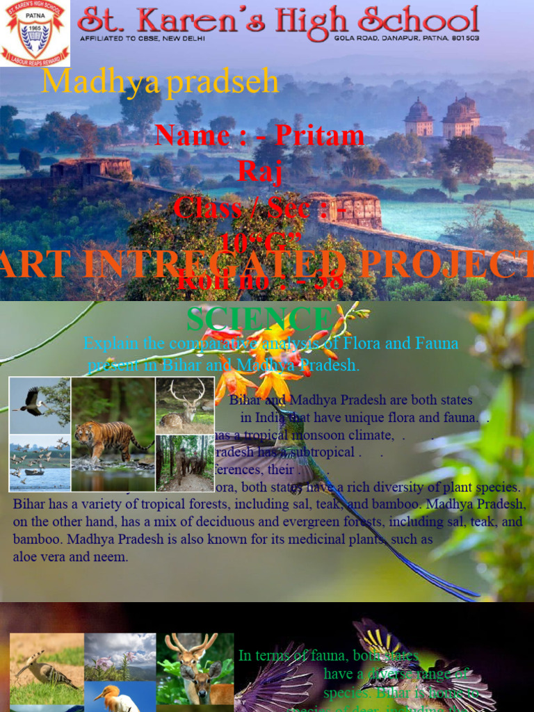 Art Integrated Class 10 | PDF