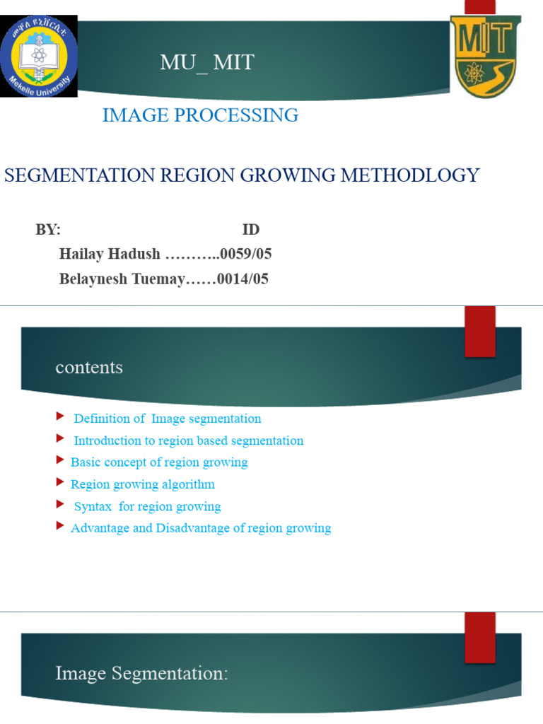 Segmentation Region Growing | PDF | Image Segmentation | Imaging