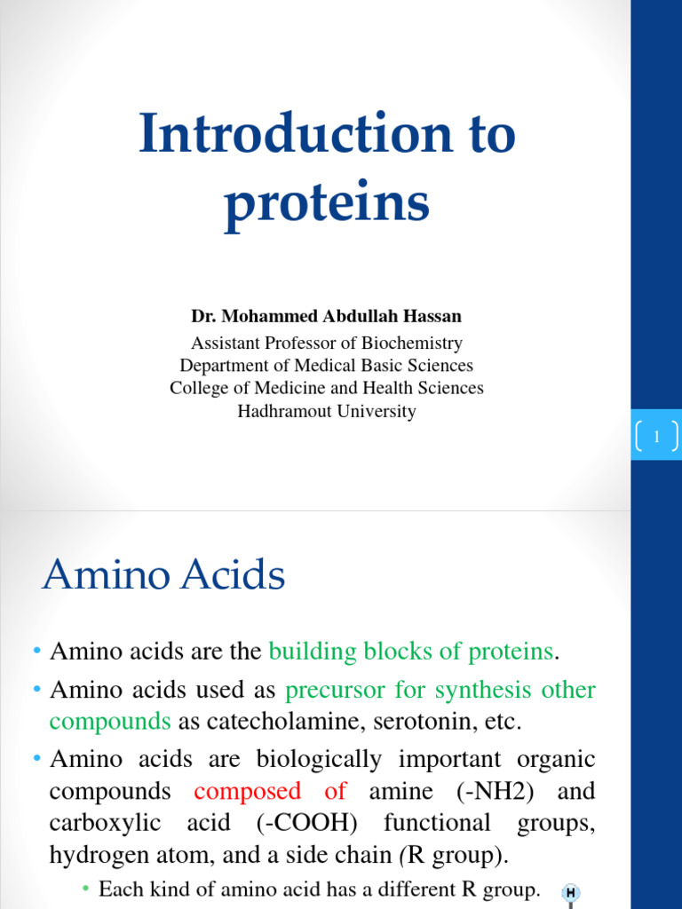 Y1B1P4 - Introduction To Proteins-HU | PDF | Amino Acid | Proteins