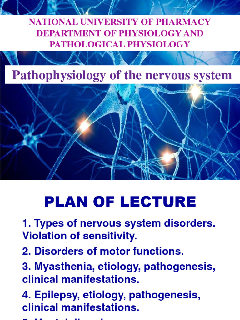 16 Nervous System | Download Free PDF | Spinal Cord | Motor Neuron