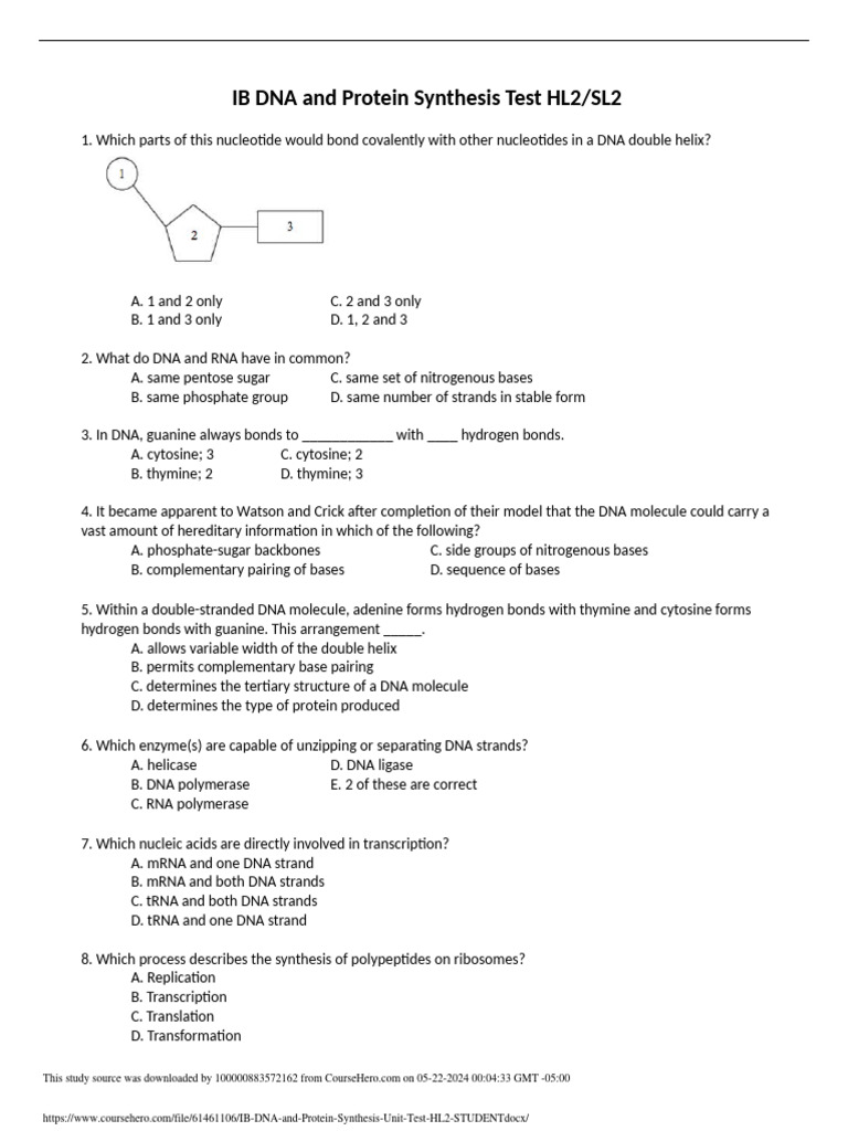 DNA and Protein Synthesis Unit Test | PDF | Dna | Dna Replication
