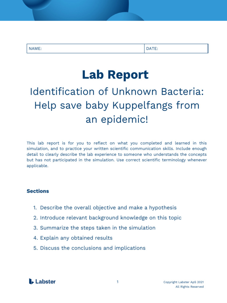 Lab Report - Identification of Unknown Bacteria - Updated | PDF ...
