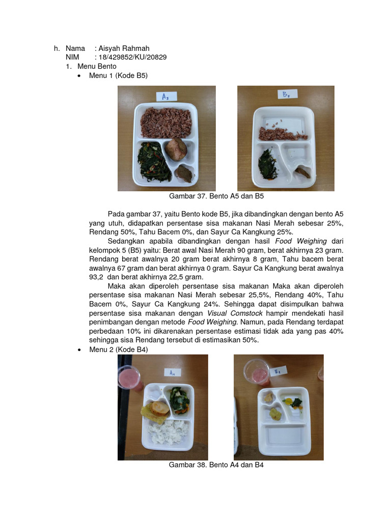 Laporan Visual Comstock | PDF