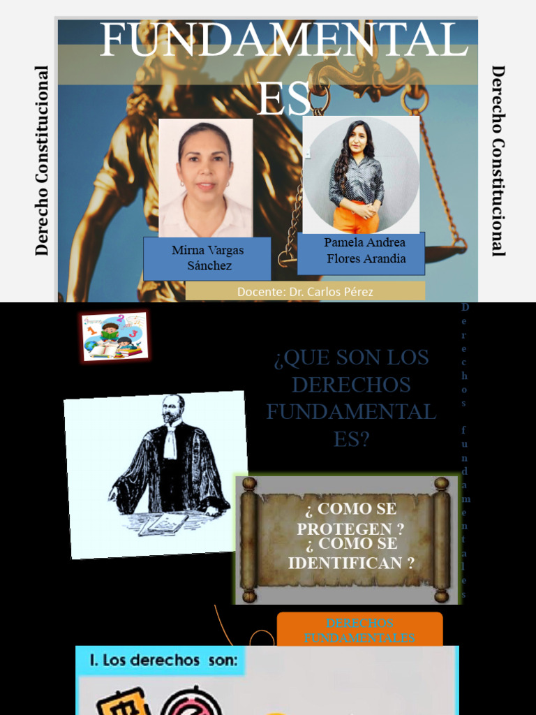 1derechos Fundamentales De La Constitucion Pdf Derechos Constitución