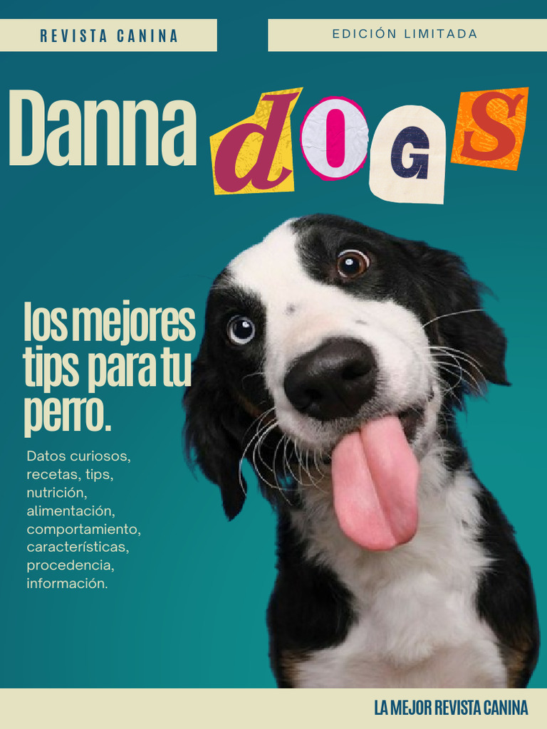 Danna Dogs | PDF | Alimentos | Nutrición