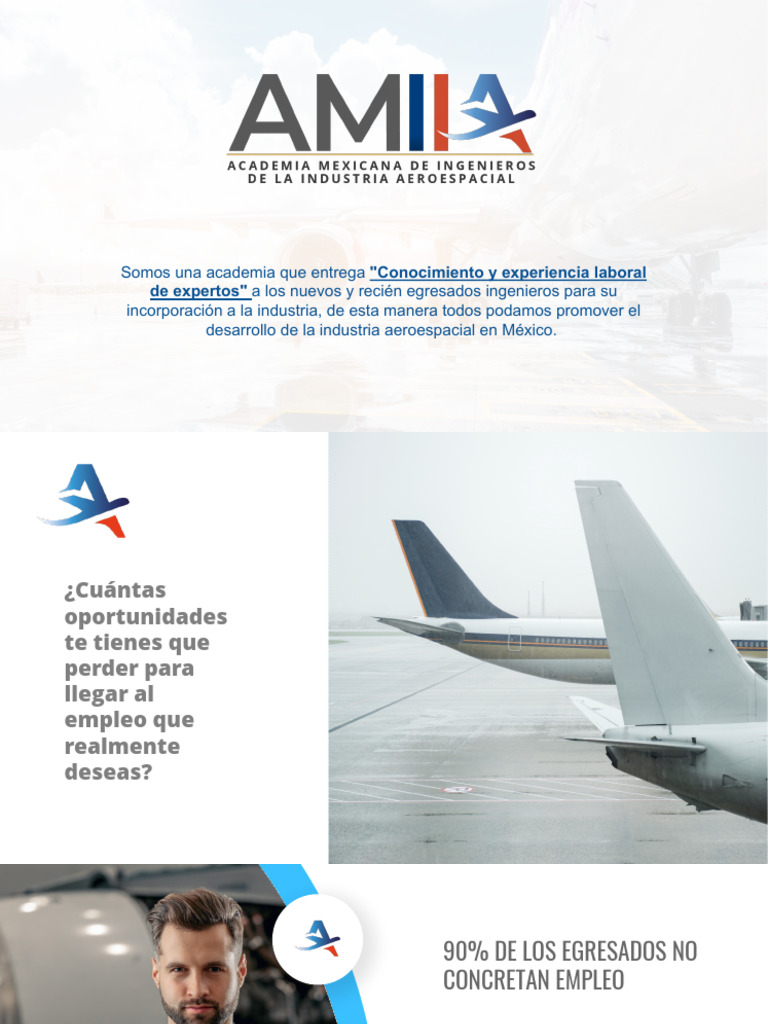 Qué Es La AMIIA | PDF | Negocios