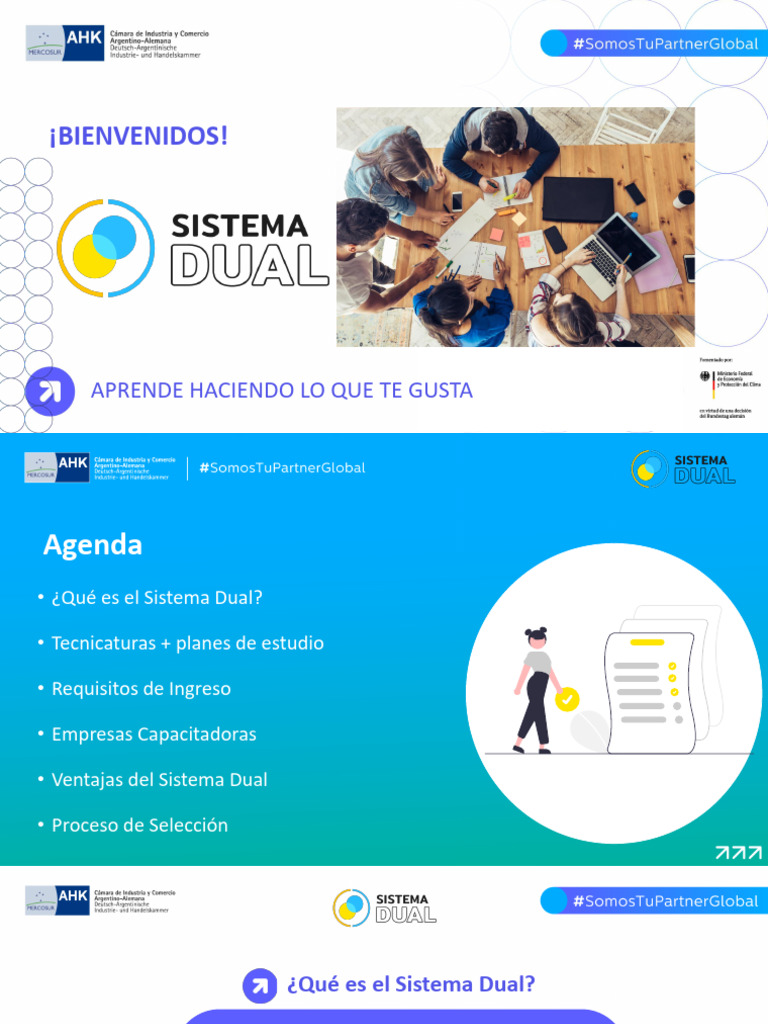 FP - CM - Presentación Sistema Dual TÉCNICAS - 2024 | PDF | Business | Software