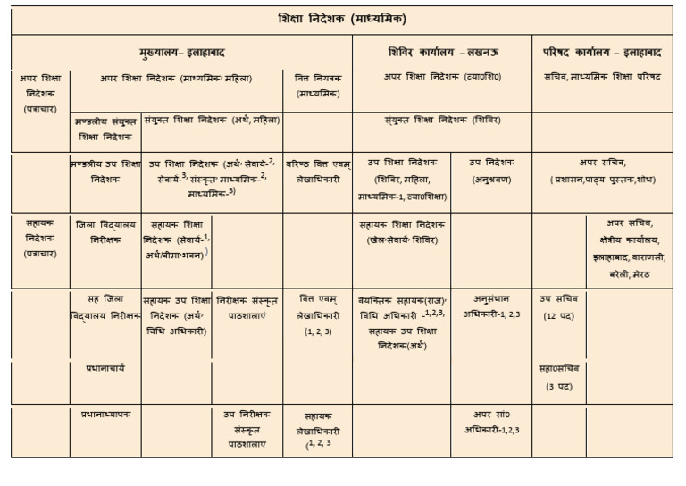 Orgnization Structure | PDF