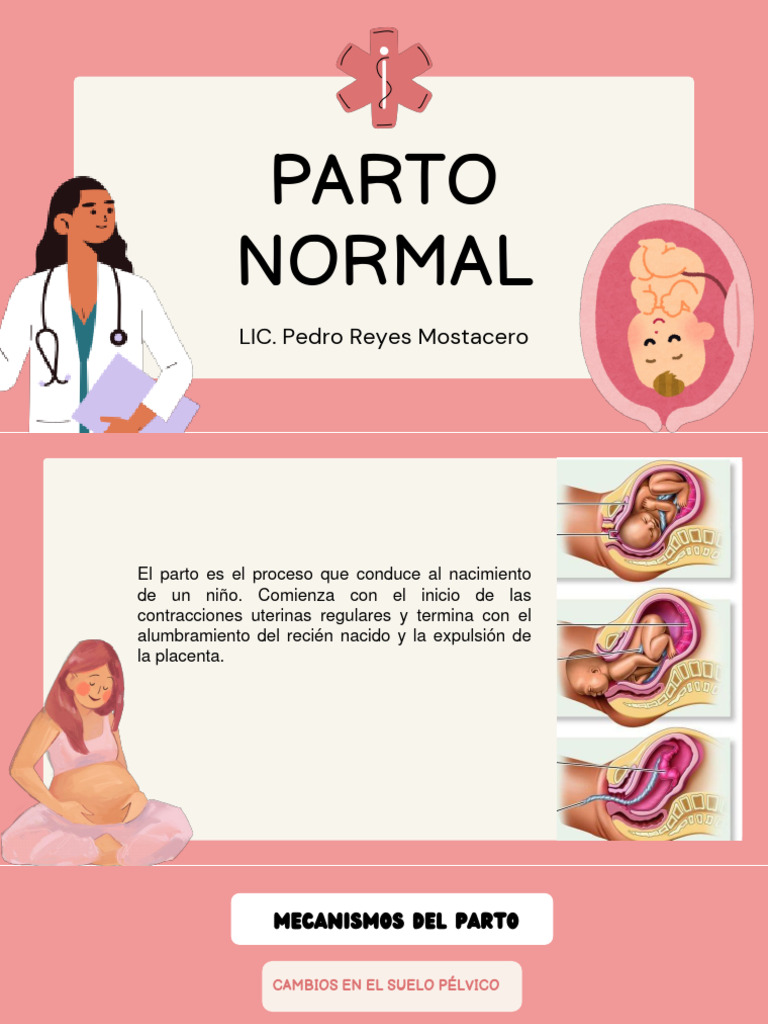 Mecanismos y Manejo del Parto Normal | PDF | Parto | Pelvis