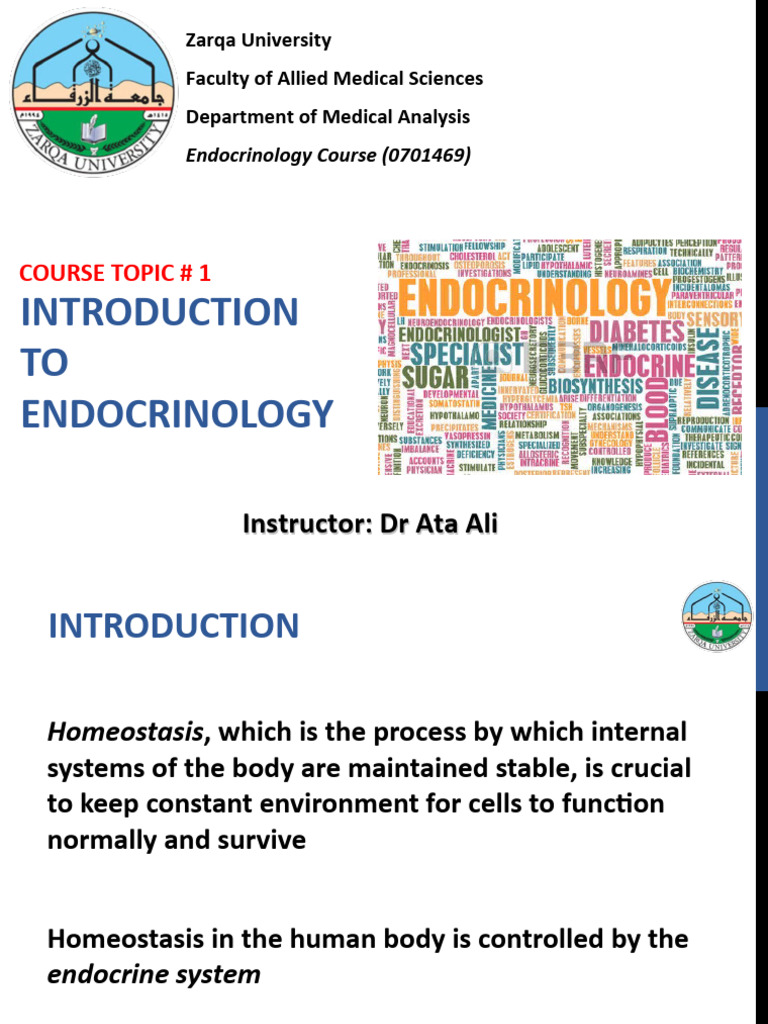 Introduction to Endocrinology Basics | PDF | Endocrinology | Endocrine System