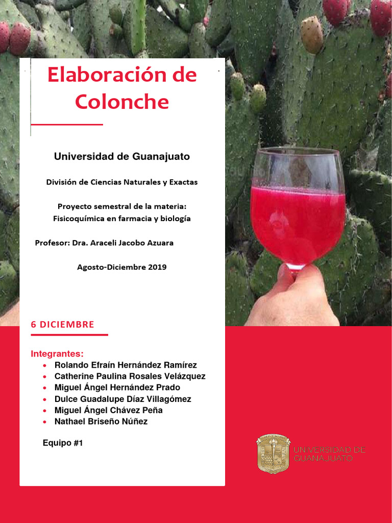 Elaboración de Colonche: Bebida Tradicional | PDF | Fermentación | Levadura