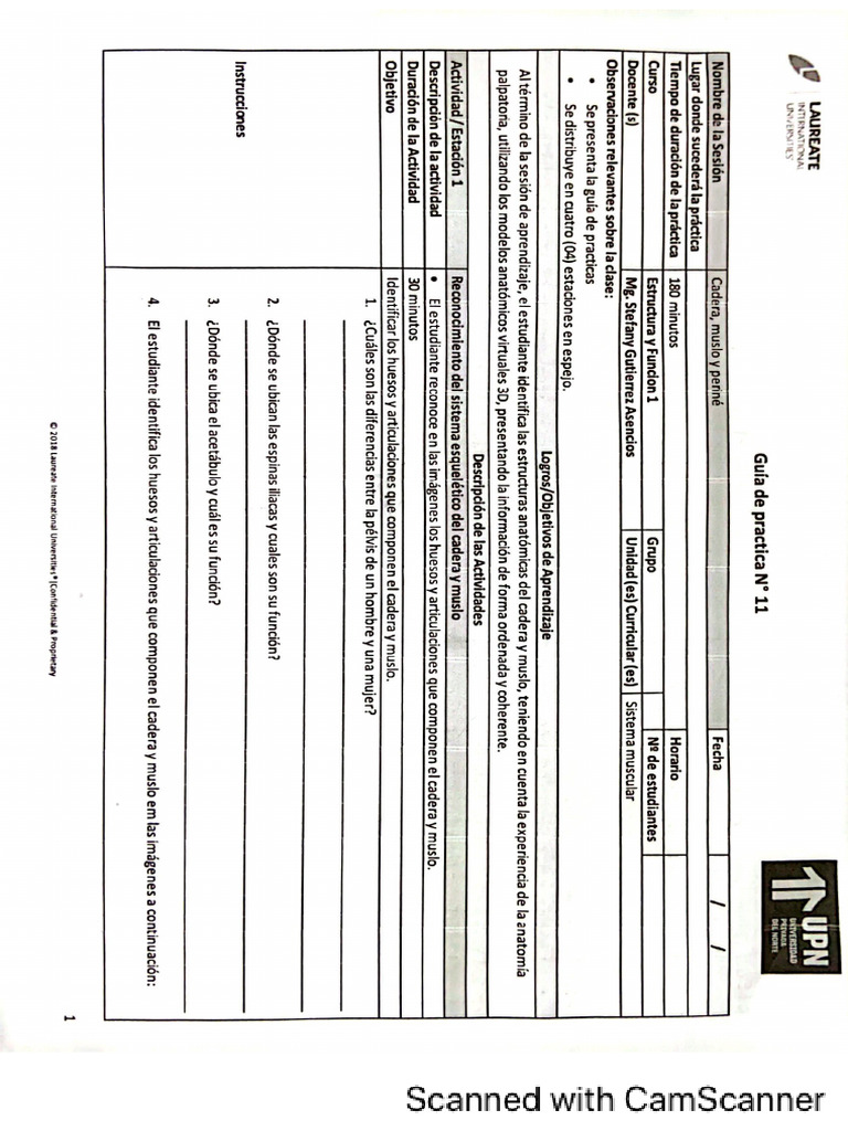 Guía de Practica N 11 | PDF