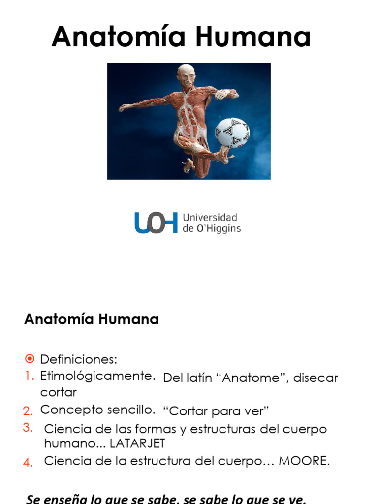 Generalidades Anatomía | PDF | Términos anatómicos de ubicación | Anatomía